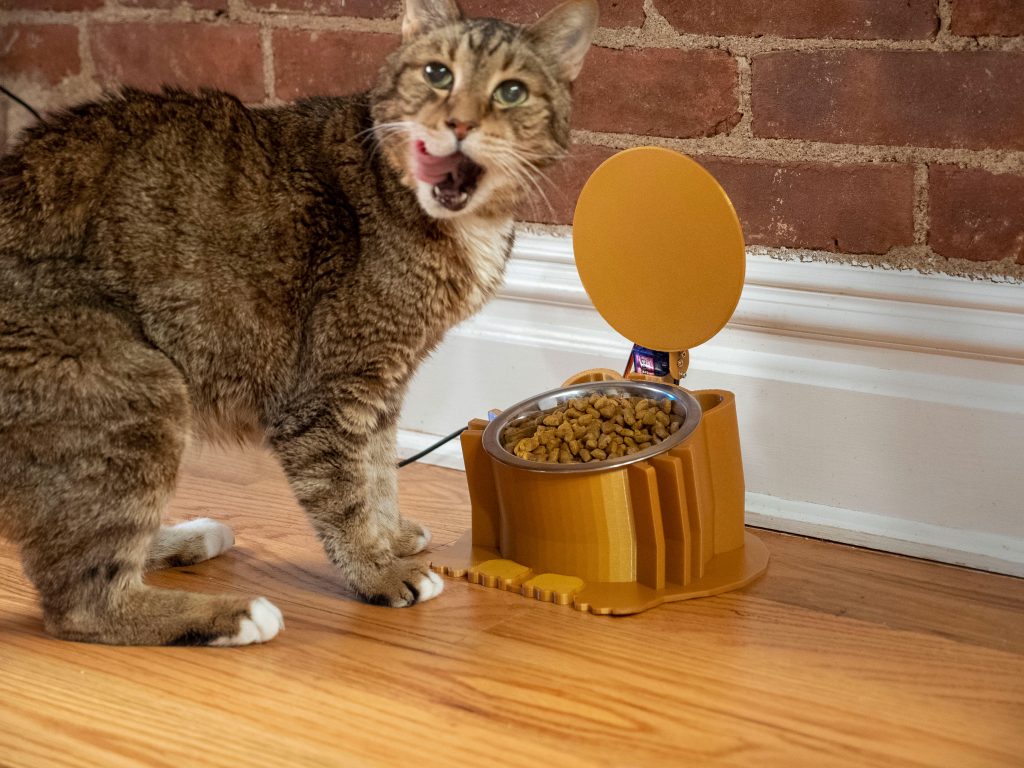 Cat Food Access Control with ESP8266 - Becky Stern