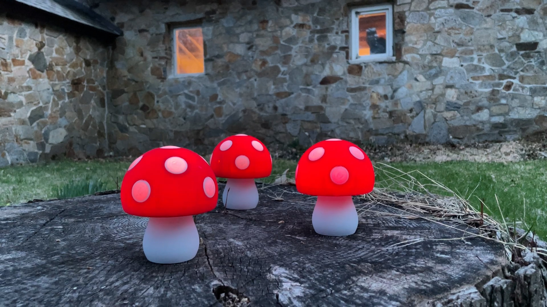 LED Mushrooms - Becky Stern